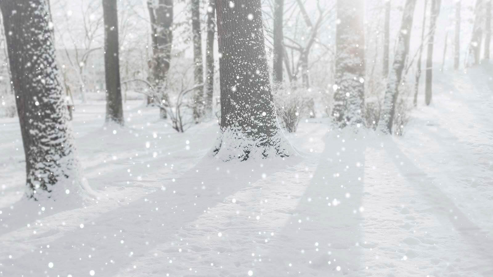Asbestos was used as fake snow in many old Christmas movies ...